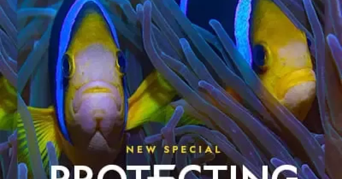 Raphaelle Thibaut scores new Disney+ film