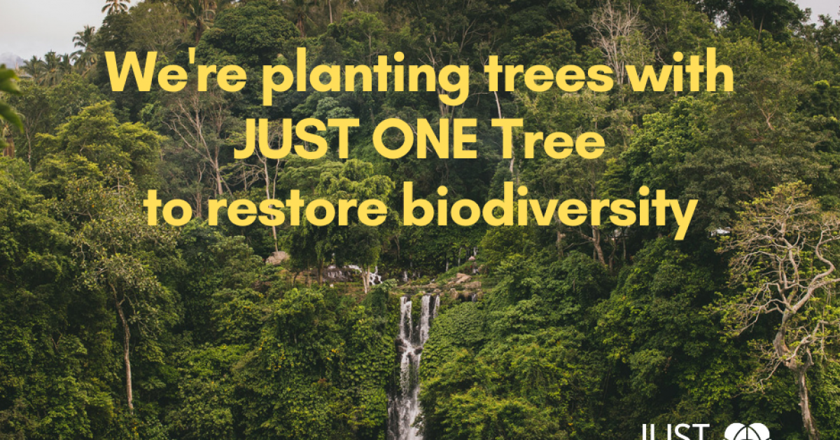 The Composerworks supports JUST ONE Tree